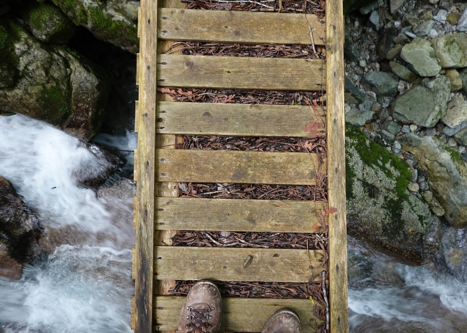 wtaxus（わたくさす）さんの投稿したフィールドメモ | YAMAP / ヤマップ