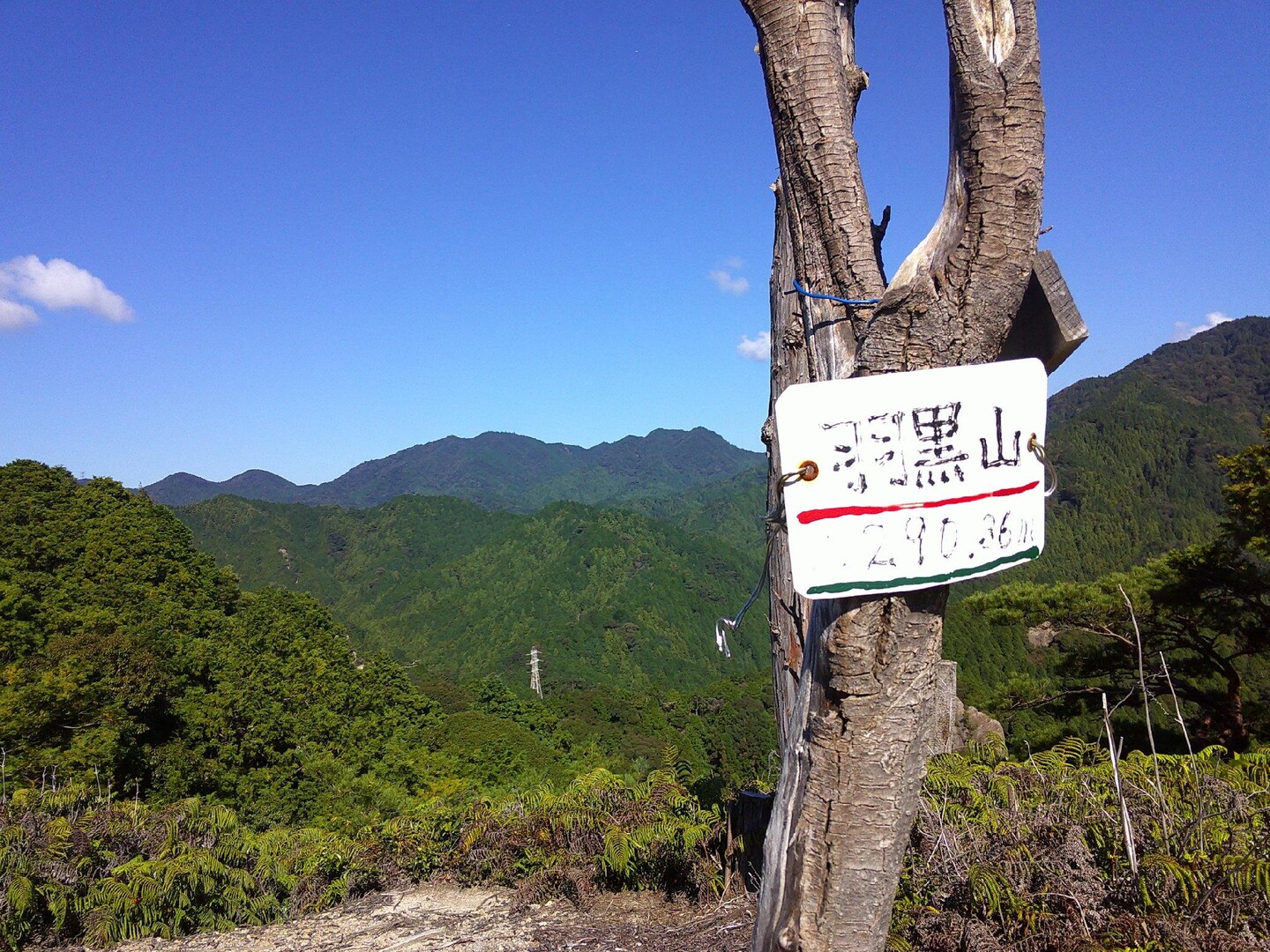 241013羽黒山へ登って見た… / 名草山3さんの羽黒山・筆捨山・観音山の活動データ | YAMAP / ヤマップ