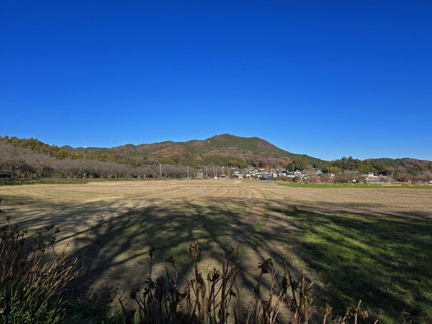 日和田山【13】 / MCボビヲさんの日和田山・物見山の活動データ | YAMAP / ヤマップ