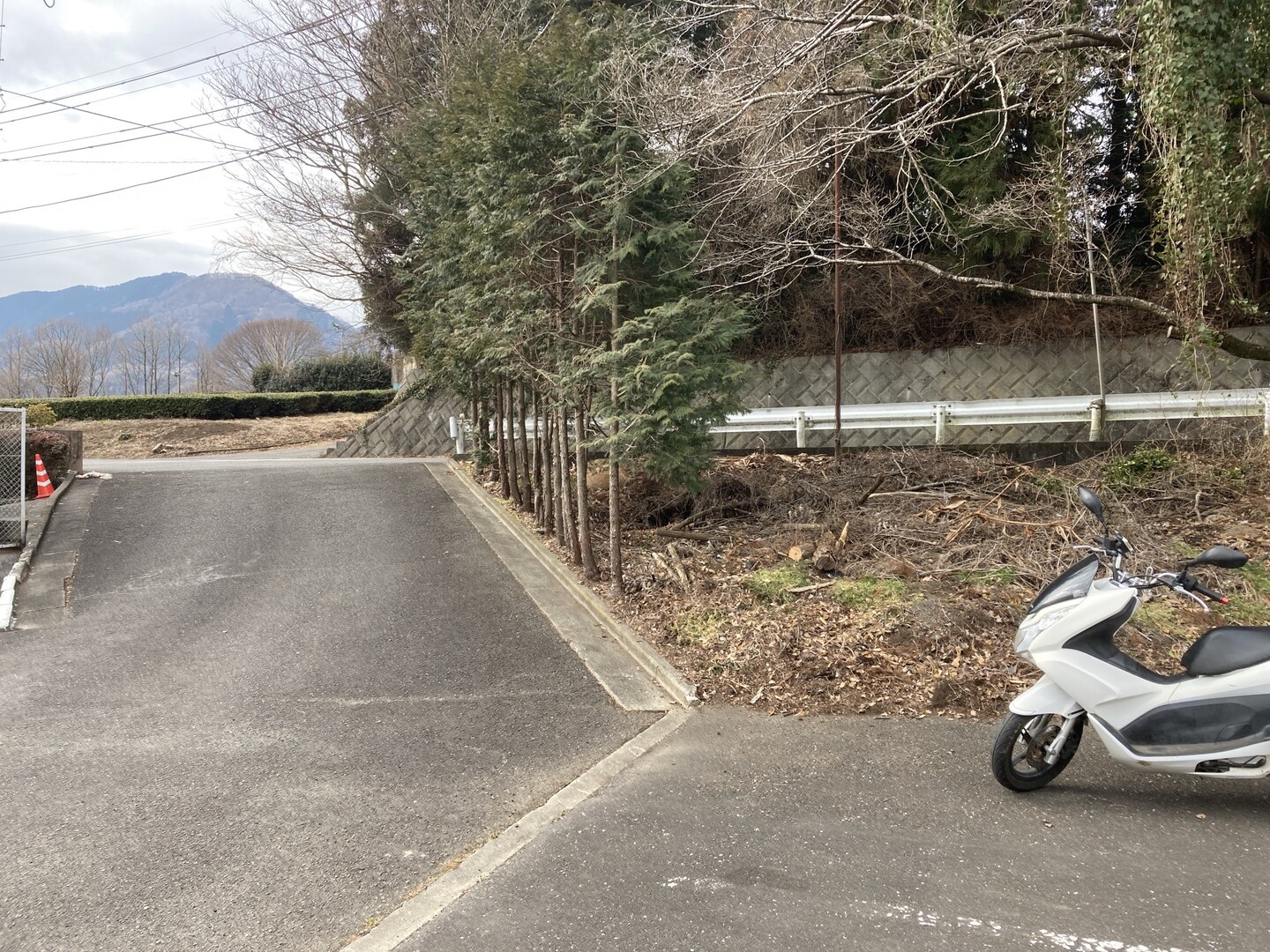 harryさんの投稿したフィールドメモ | YAMAP / ヤマップ