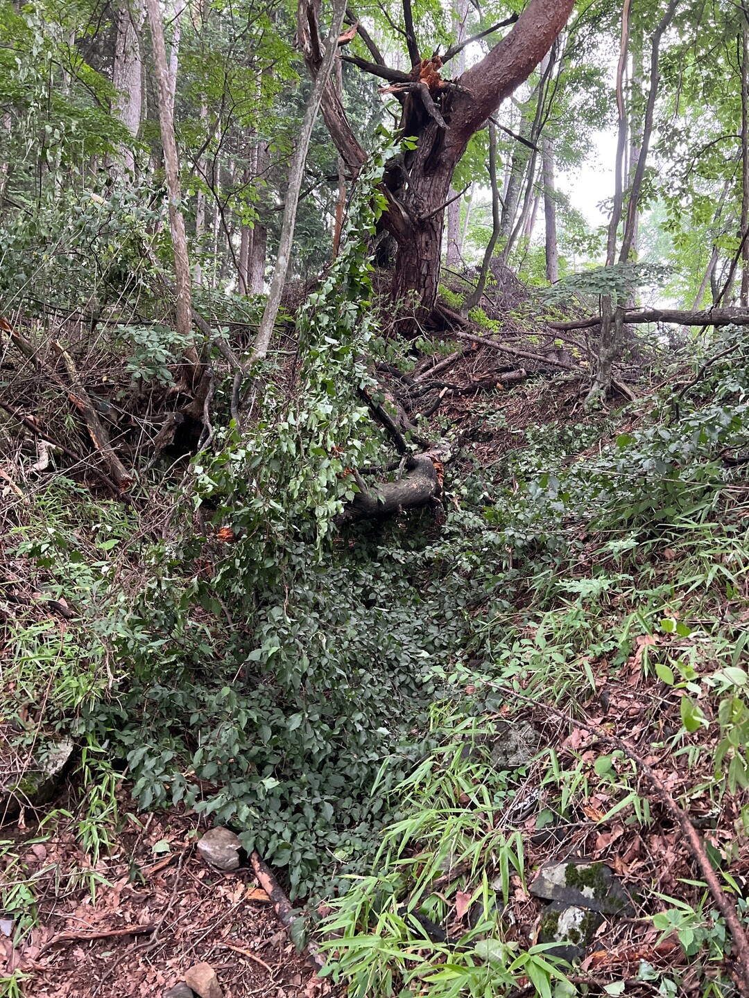 HIKARUさんの投稿したフィールドメモ | YAMAP / ヤマップ