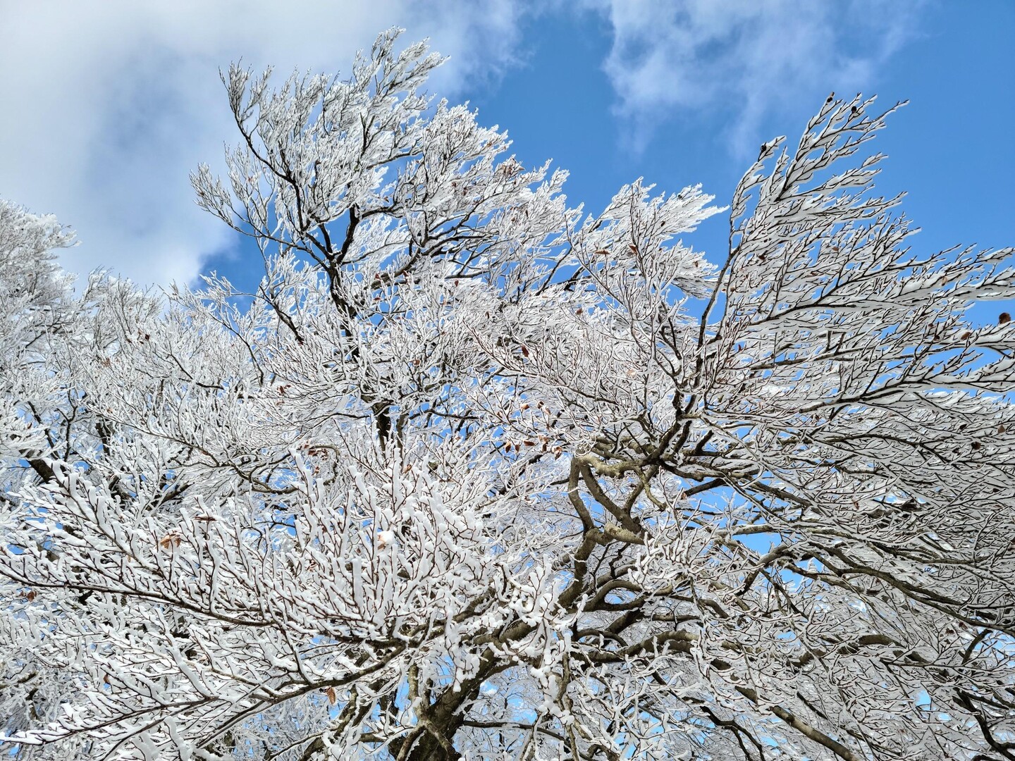 筑波山 雪ver. / あいさんの筑波山の活動データ | YAMAP / ヤマップ
