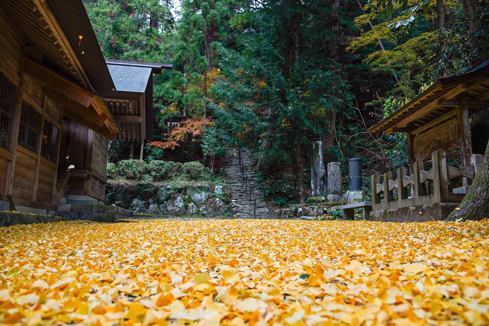 神路山・遠見岳（伊野皇大神宮） / fuku-sanさんの犬鳴山・西山（鮎坂山）の活動データ | YAMAP / ヤマップ