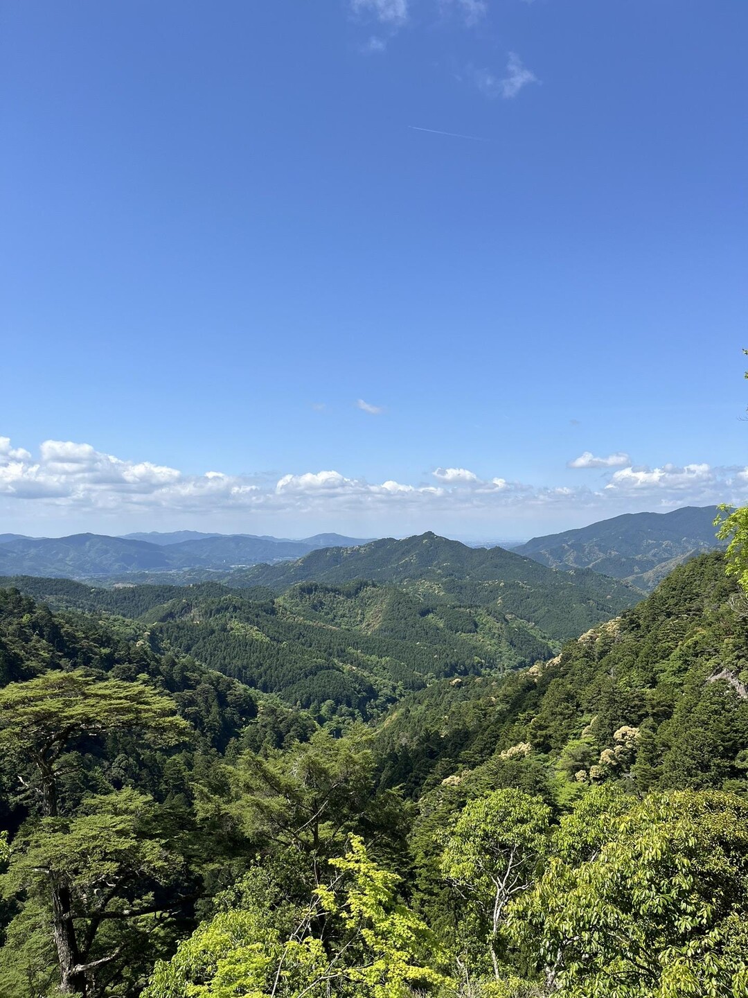 鳳来寺山 / cocoさんの宇連山・鳳来寺山・岩古谷山の活動データ | YAMAP / ヤマップ