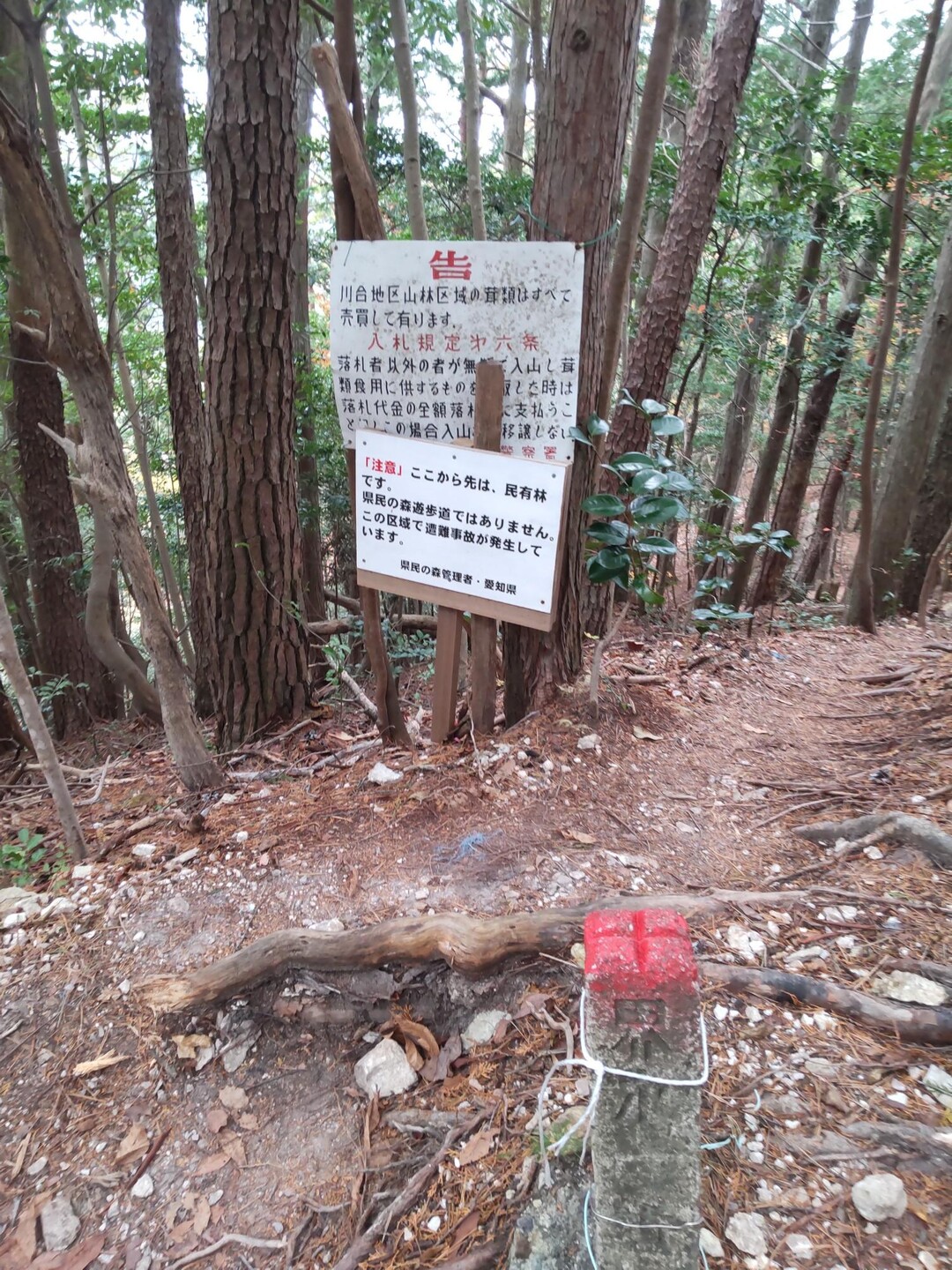 satomi29さんの投稿したフィールドメモ | YAMAP / ヤマップ