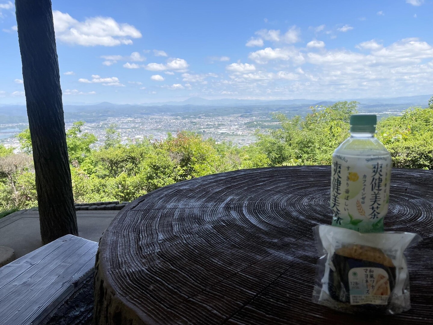 鳩吹山 / SKさんの鳩吹山の活動データ | YAMAP / ヤマップ