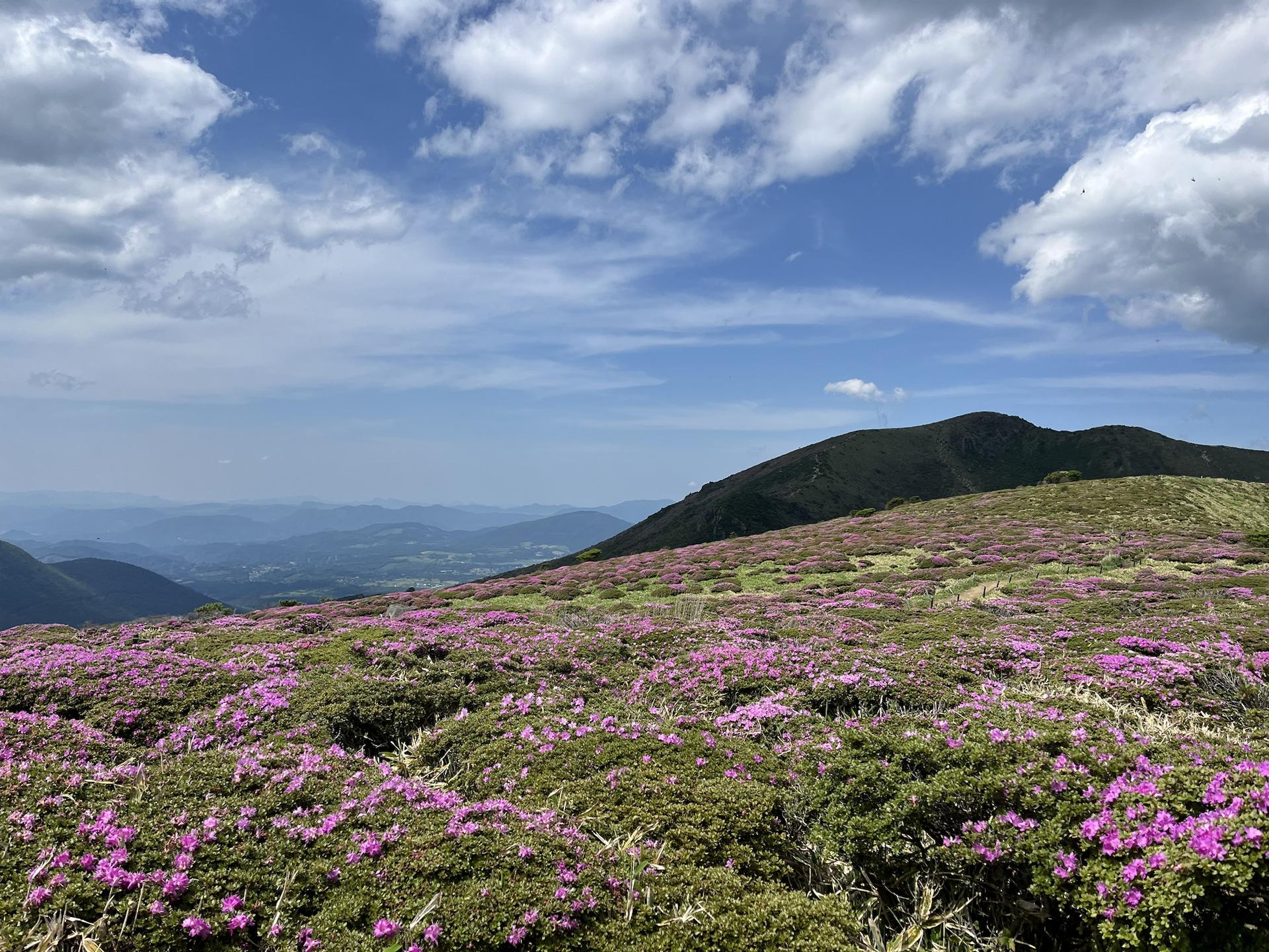 アンコール🌸👏MK / バル🦈さんの九重山（久住山）・大船山・星生山の活動データ | YAMAP / ヤマップ