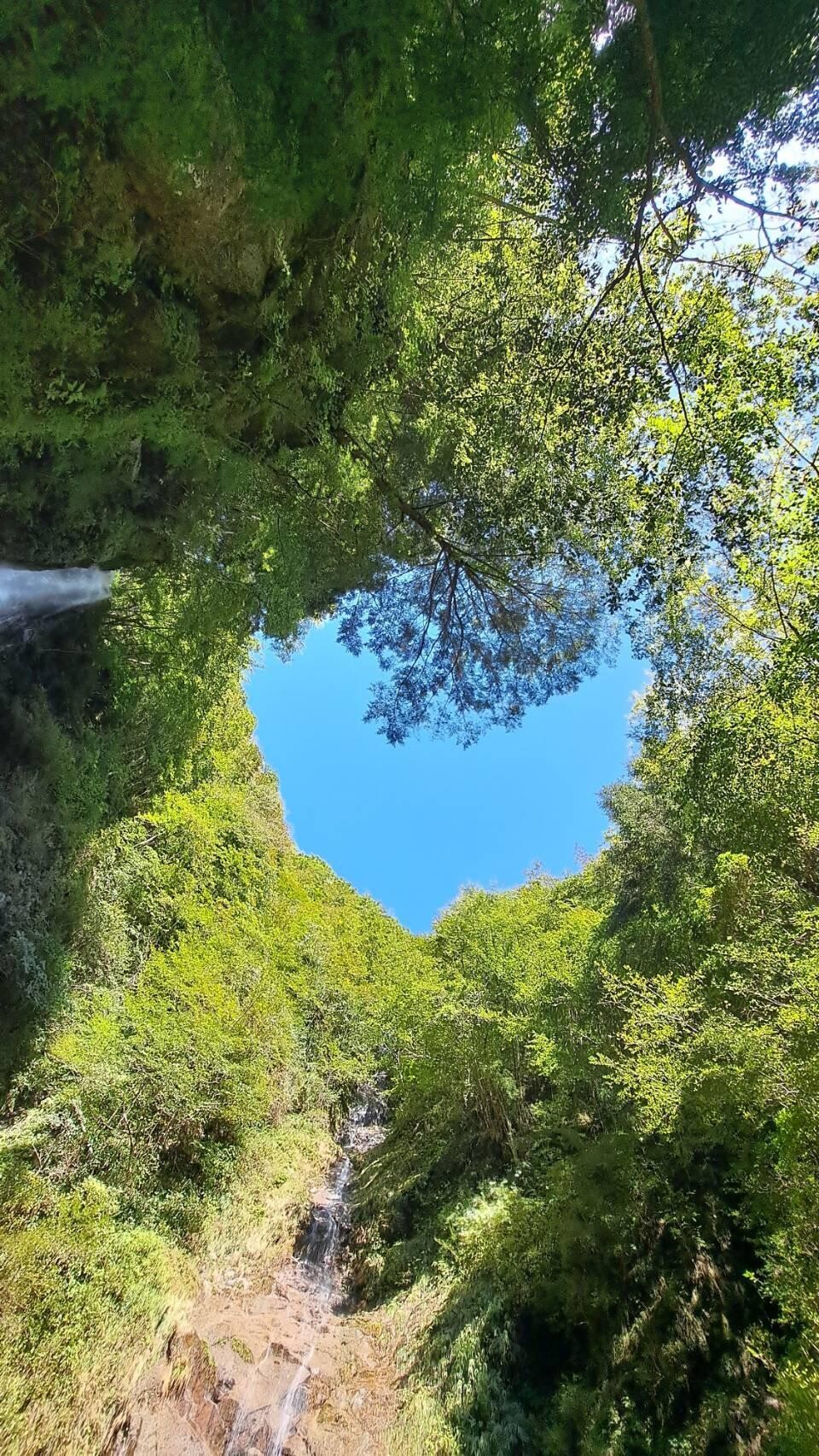 畦ヶ丸山 / y_onoさんの大室山・畦ヶ丸山・菰釣山の活動データ | YAMAP / ヤマップ