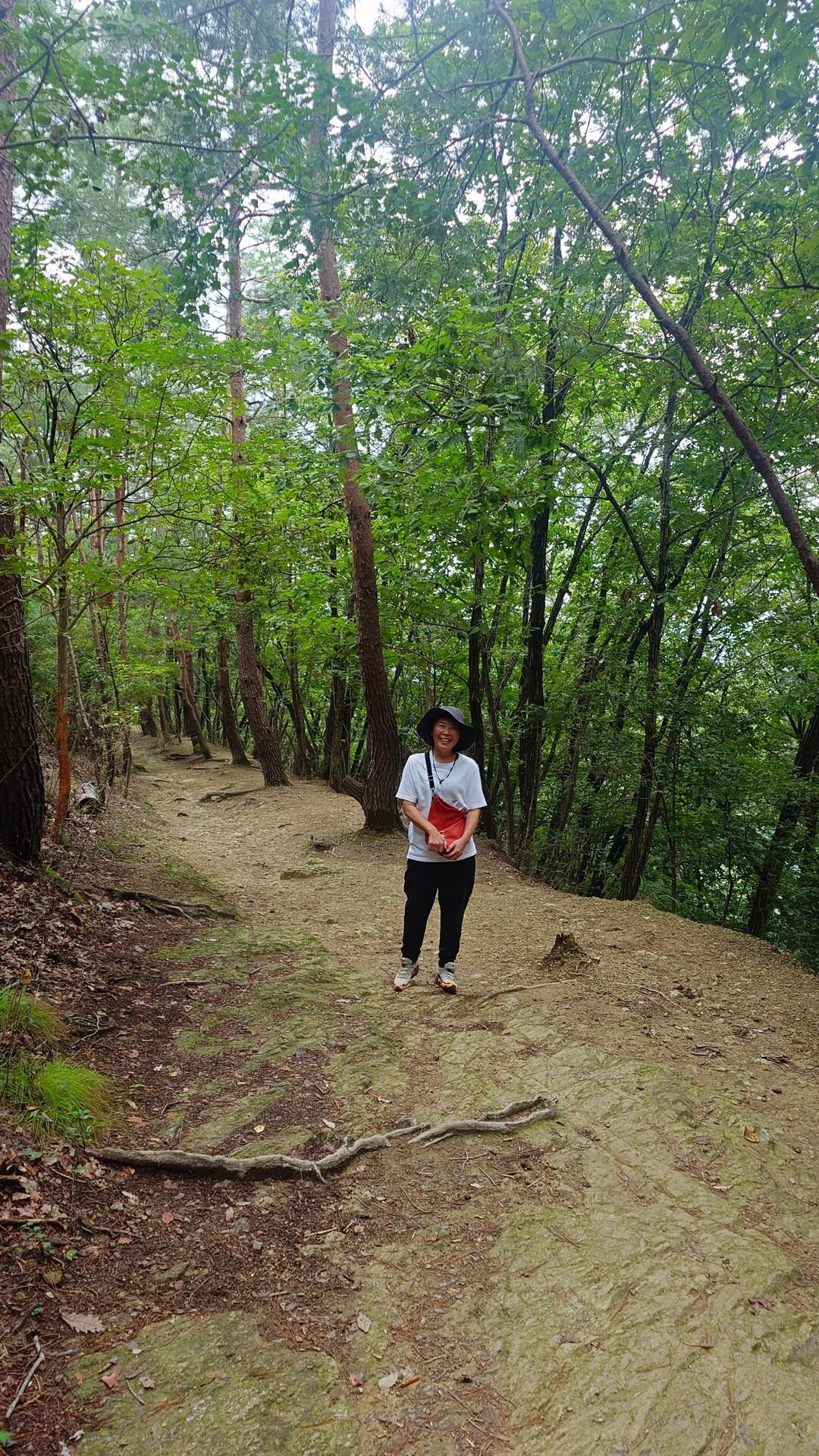 4日ぶりはガスガスアヅマ 29分登頂 / ta2さんの鳴神山・吾妻山の活動データ | YAMAP / ヤマップ