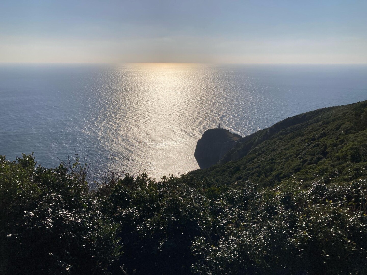 福江島でおかわり大瀬山 / ogamiさんの鬼岳の活動日記 | YAMAP / ヤマップ