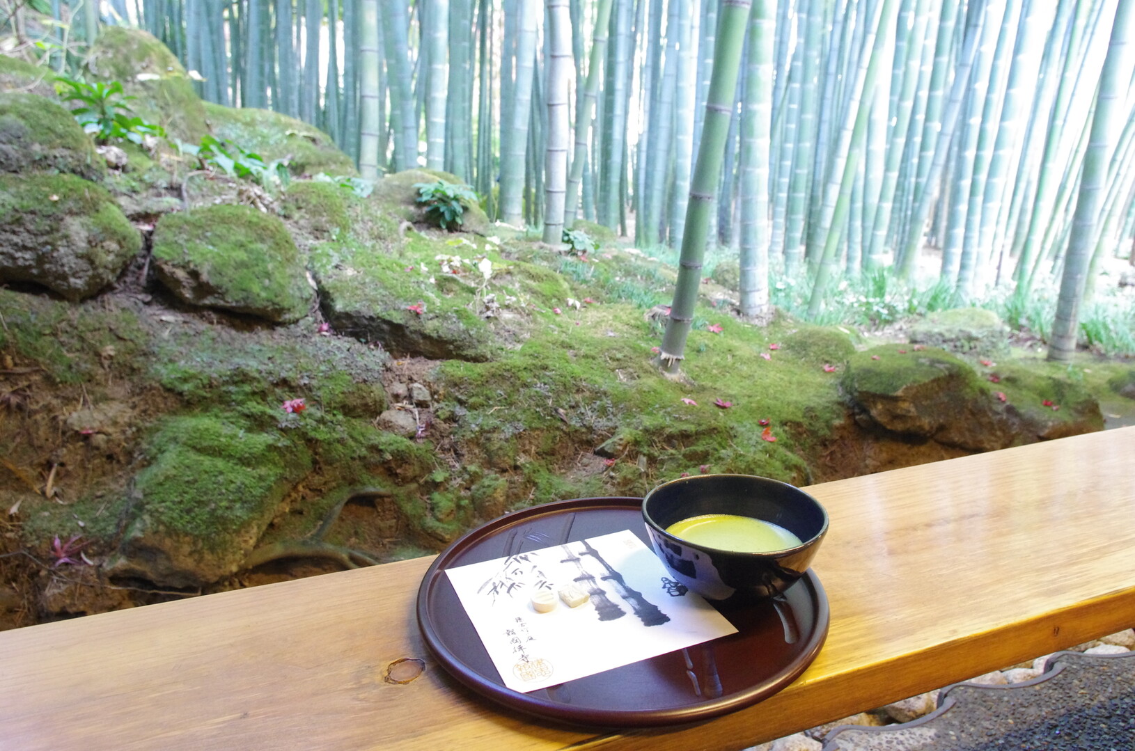 鎌倉の竹林、紅葉とクラフトビール / walker.misa🚶‍♂️さんの鎌倉アルプス（大平山・天台山）の活動日記 | YAMAP / ヤマップ