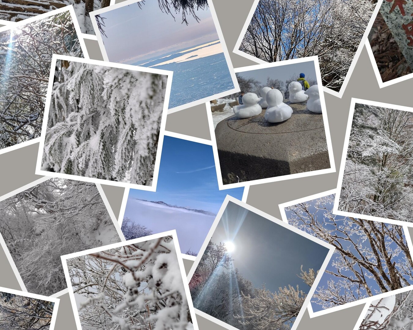 樹氷を見たくて大山 / B-chiさんの大山の活動データ | YAMAP / ヤマップ