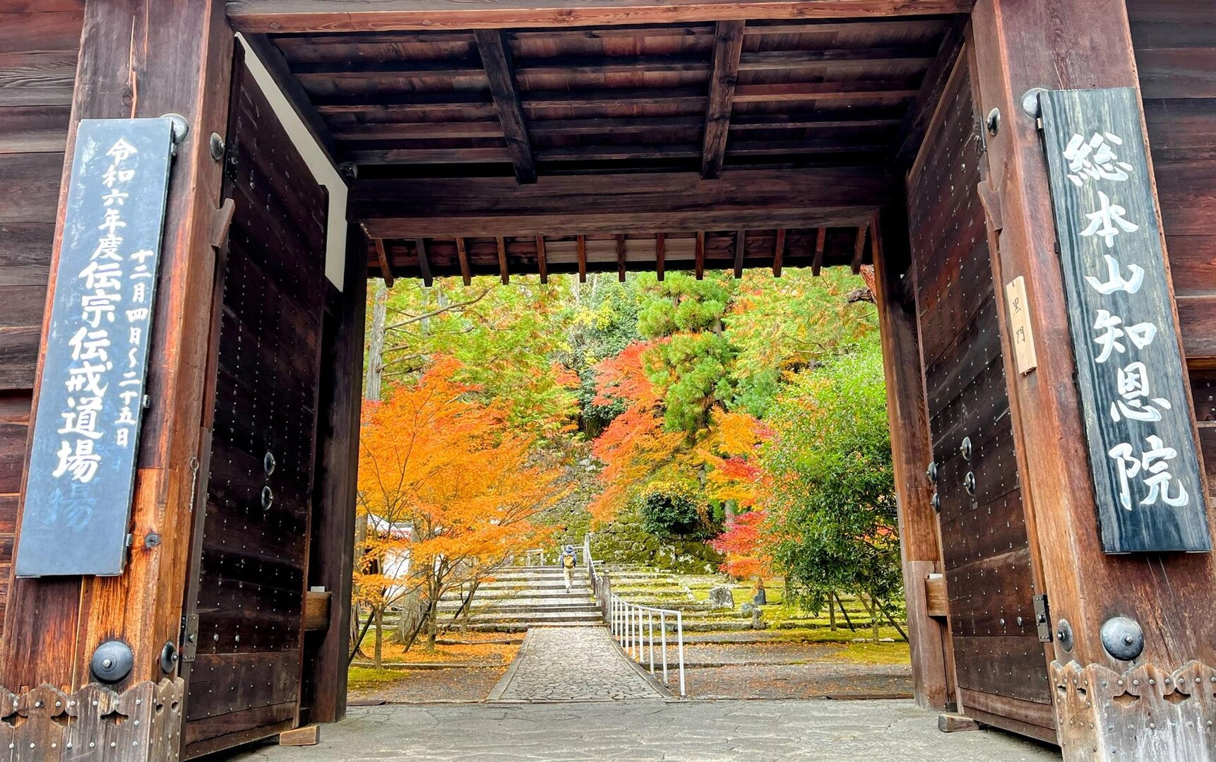 何十年か？振りの京都へ🍁丁度見頃な紅葉... / skyさんのモーメント | YAMAP / ヤマップ