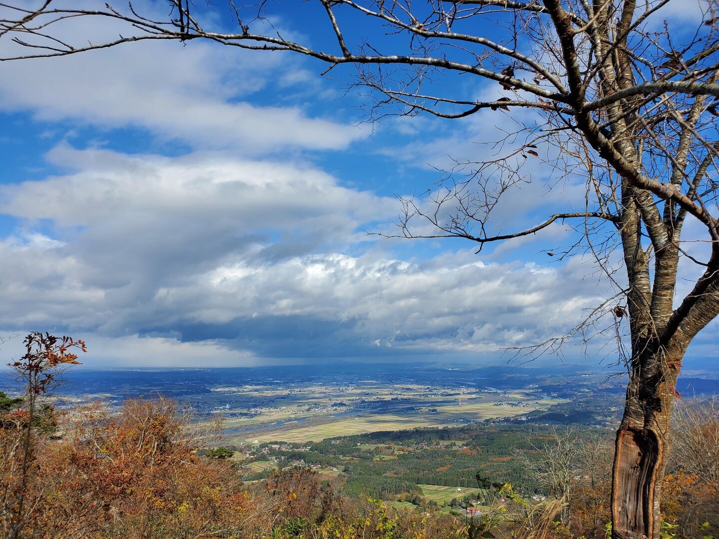 束稲山・経塚山・駒形山・音羽山 / junさんの束稲山・音羽山・経塚山の活動データ | YAMAP / ヤマップ