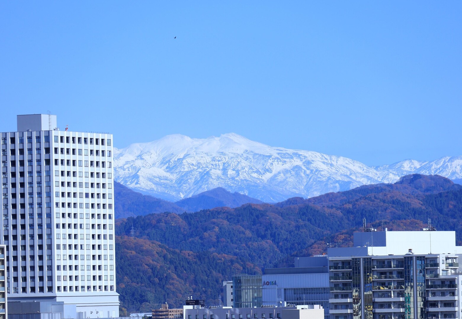 足羽山から街の向こうに白い山がとても綺麗... / junさんのモーメント | YAMAP / ヤマップ