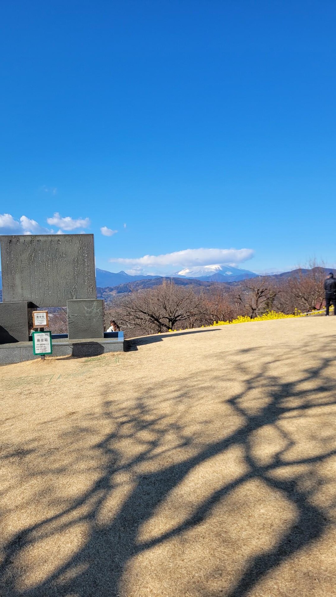 天気☀もよいので、午前中に二ノ宮の吾妻山... / kazuさんのモーメント | YAMAP / ヤマップ