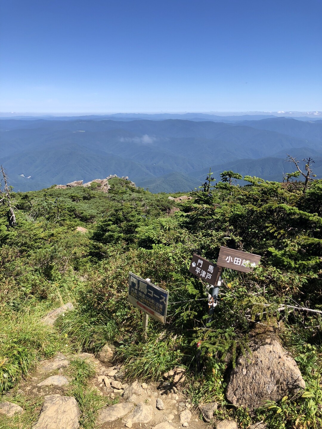 早池峰山（門馬コース） / kaz_tooさんの早池峰山・薬師岳・鶏頭山の活動データ | YAMAP / ヤマップ