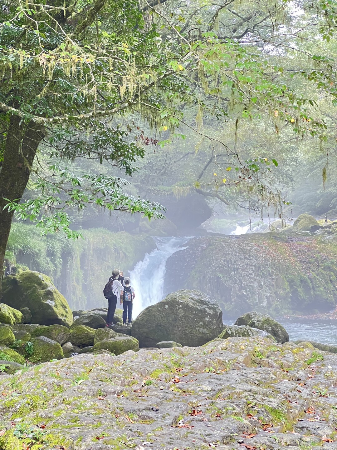 菊池渓谷 / TANAKAさんのツームシ山・鞍岳の活動データ | YAMAP / ヤマップ