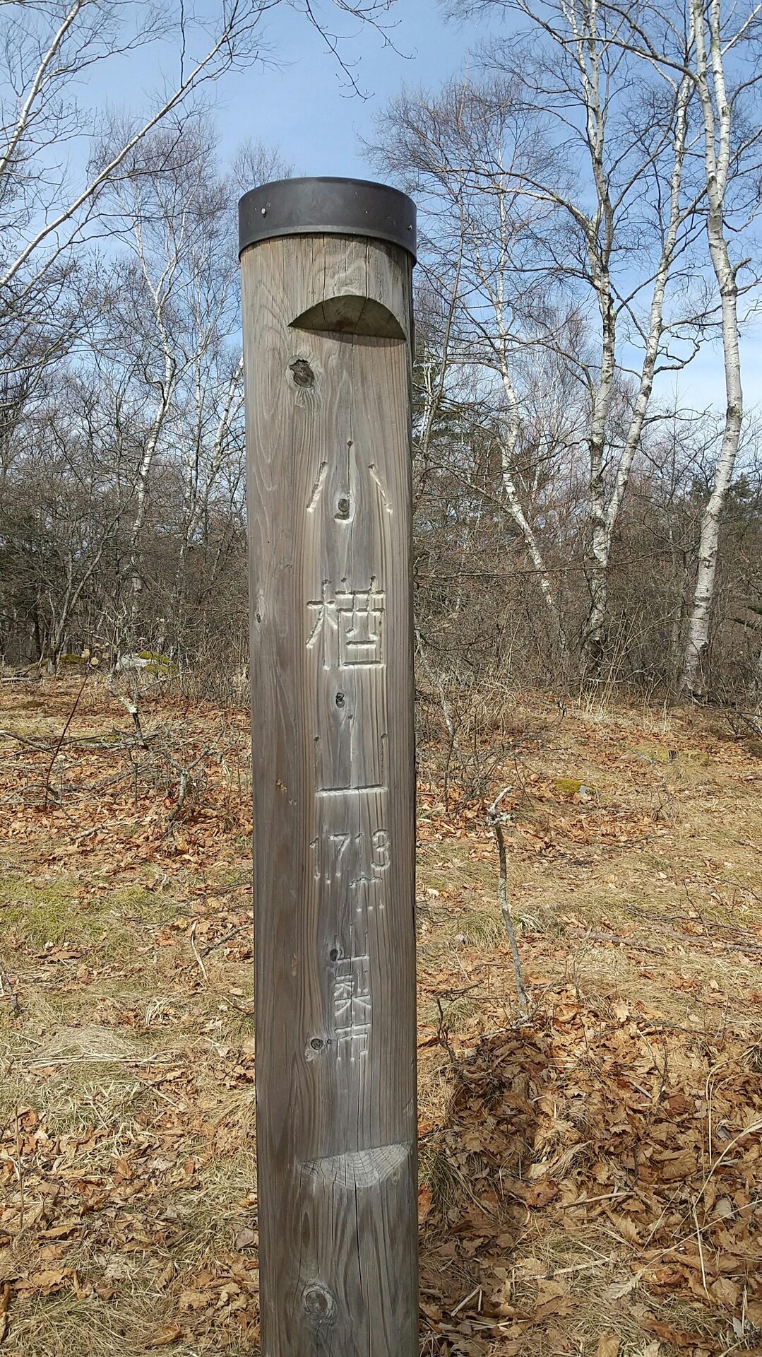 小楢山・大沢ノ頭 / kikiさんの乾徳山・黒金山の活動データ | YAMAP / ヤマップ