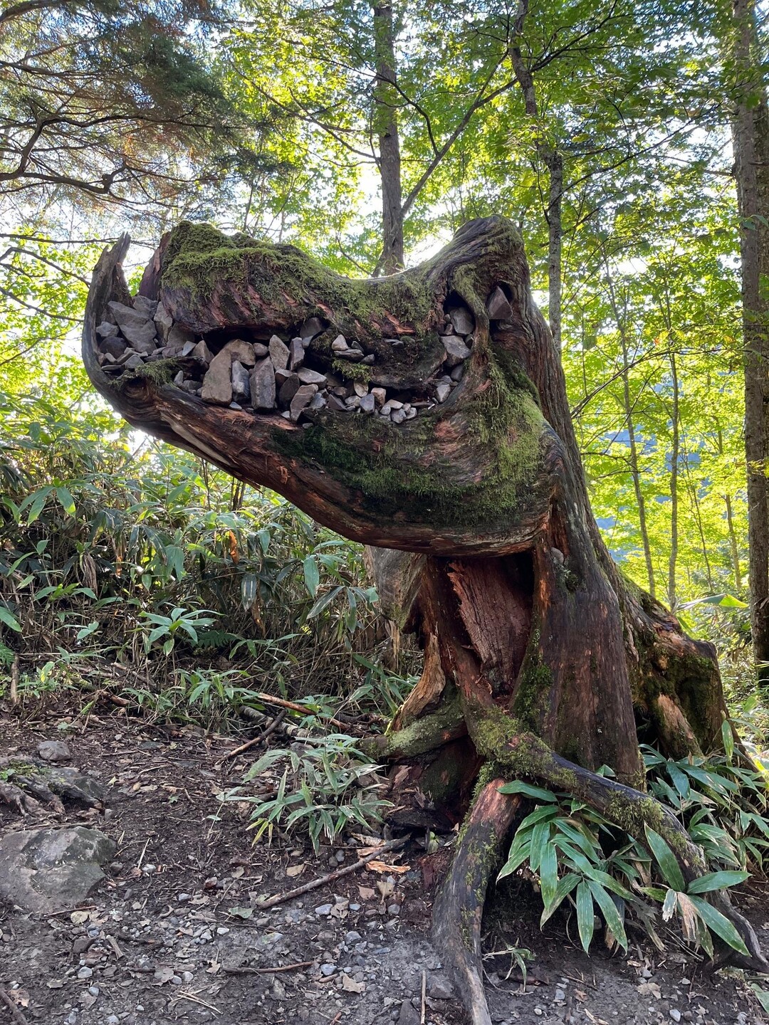 2022.09.26(月) 08:43 / wolfさんのモーメント | YAMAP / ヤマップ