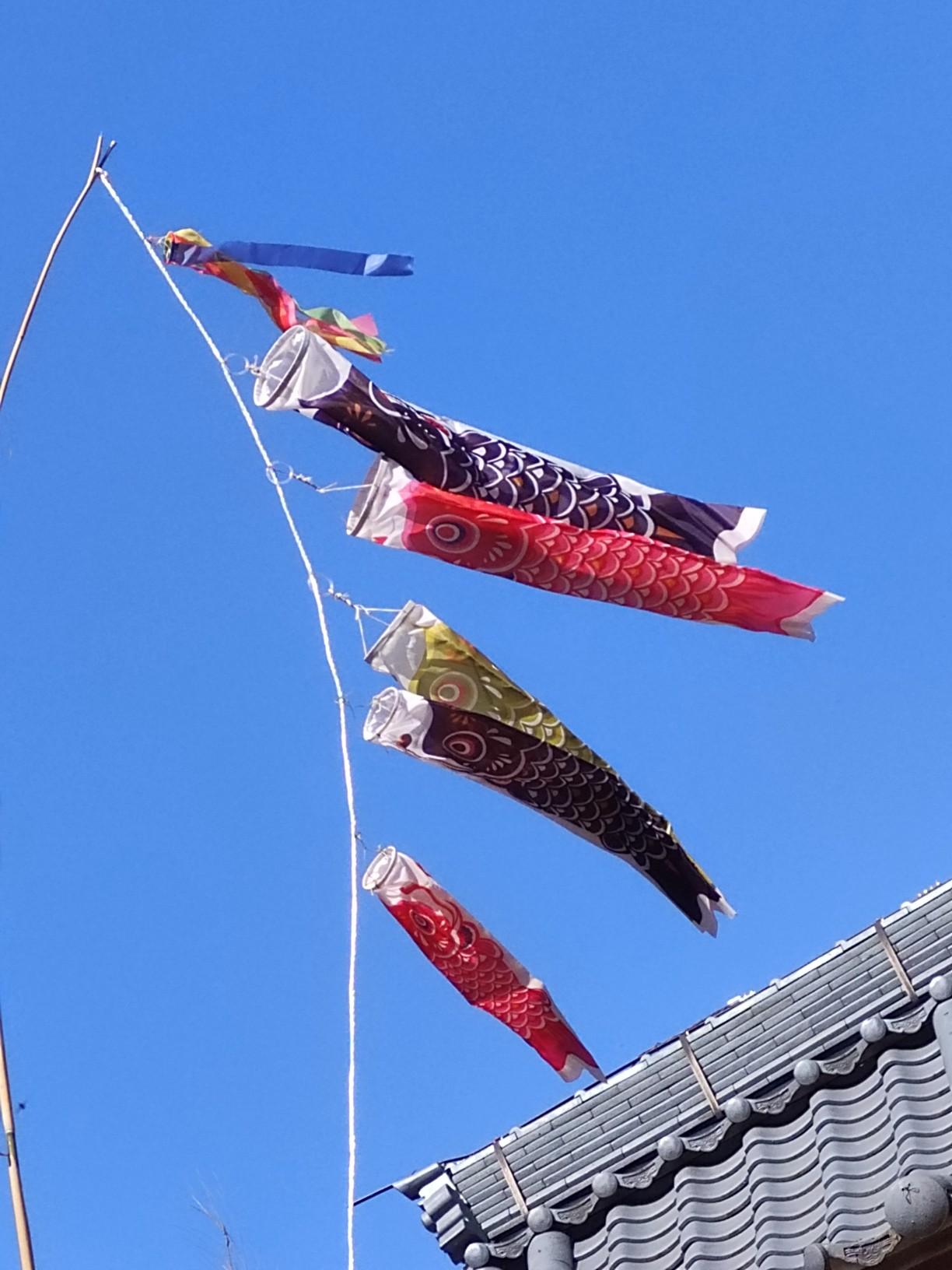 文殊山・文殊山（奥の院）250501 / UmK うめさんの文殊山の活動データ | YAMAP / ヤマップ