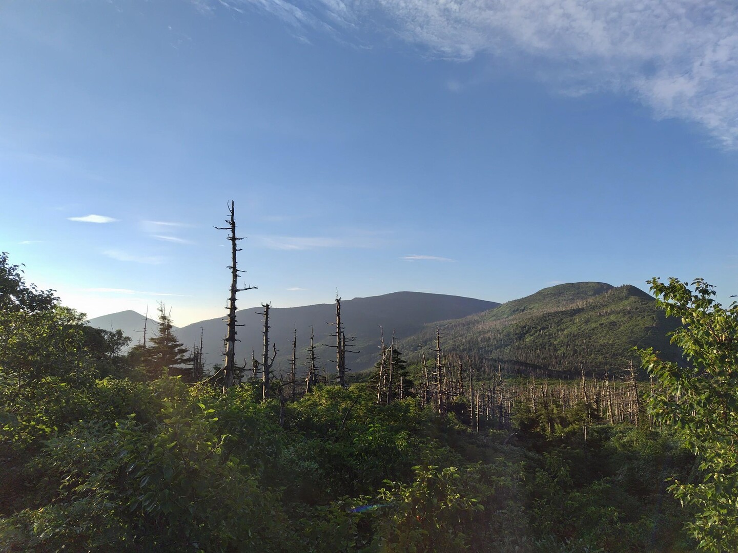 屏風岳・刈田岳(露払い再び😭) / JuJu さんの蔵王山・雁戸山・不忘山の活動データ | YAMAP / ヤマップ