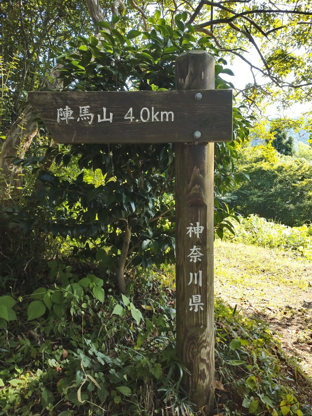 リハビリパート2 / tetsuさんの生藤山の活動データ | YAMAP / ヤマップ