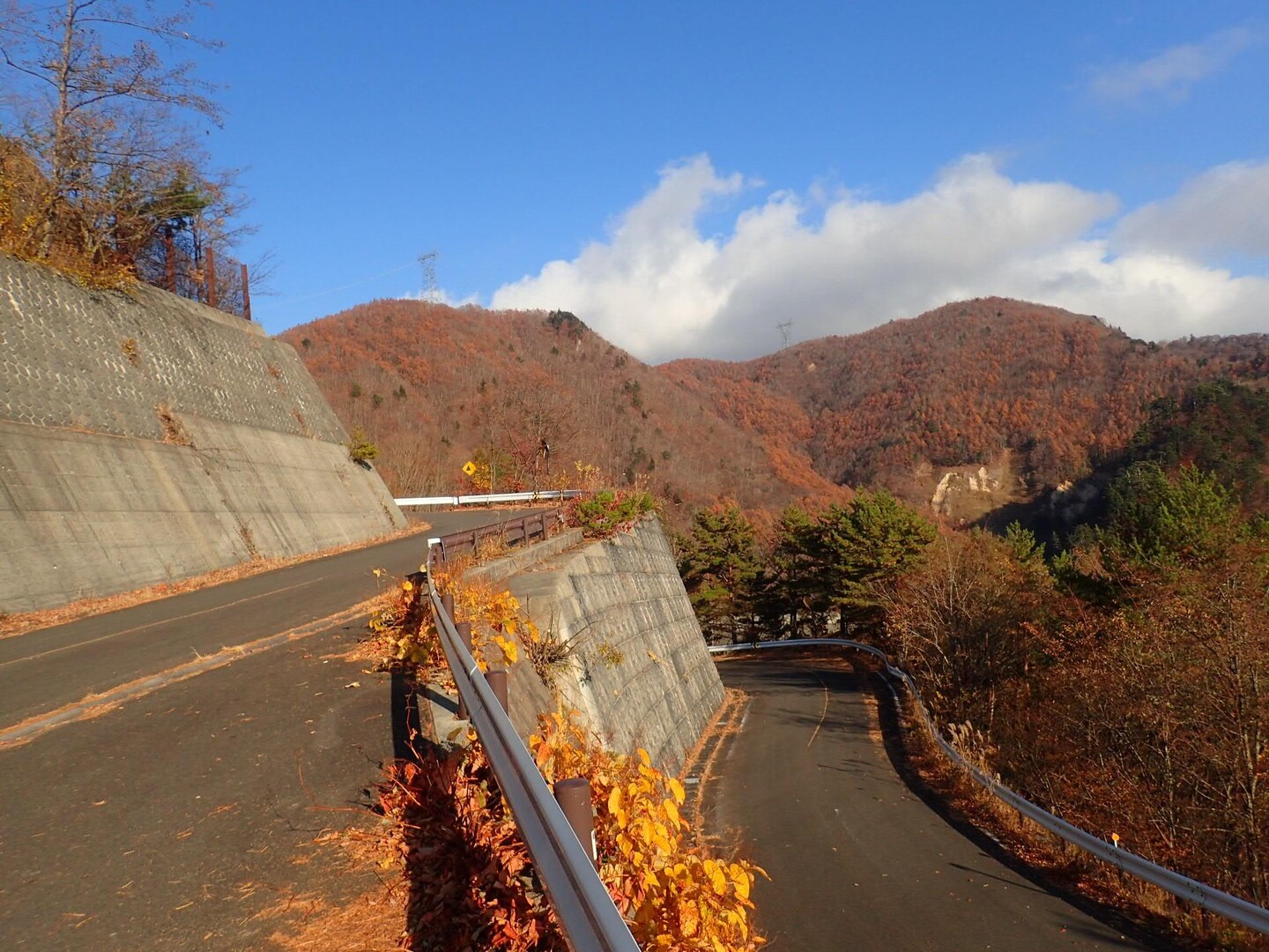 弥太郎山 / やすさんの日留賀岳の活動データ | YAMAP / ヤマップ
