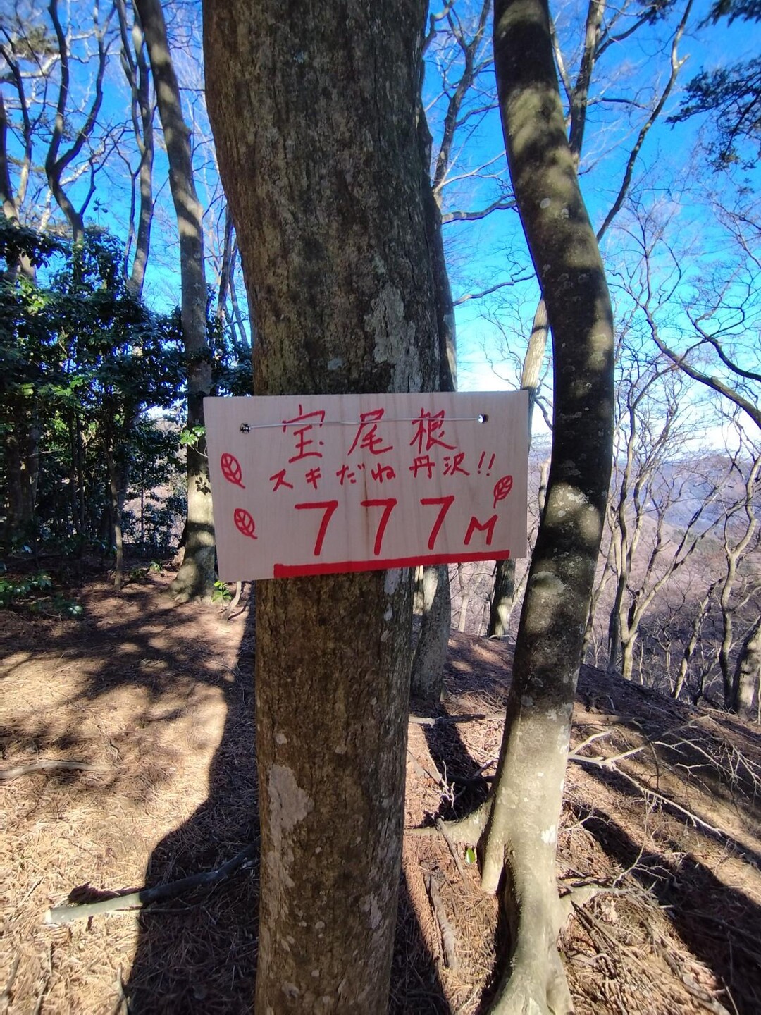 七沢山・大山 バリルート / horitakaさんの大山の活動データ | YAMAP / ヤマップ