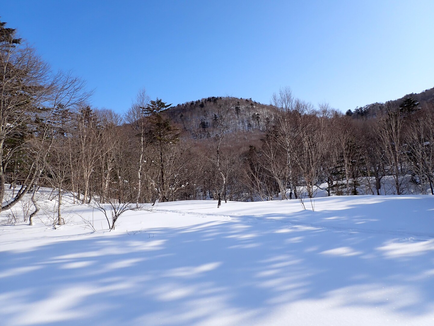 高デッキ山 / yudoburiさんの飯縄山の活動データ | YAMAP / ヤマップ