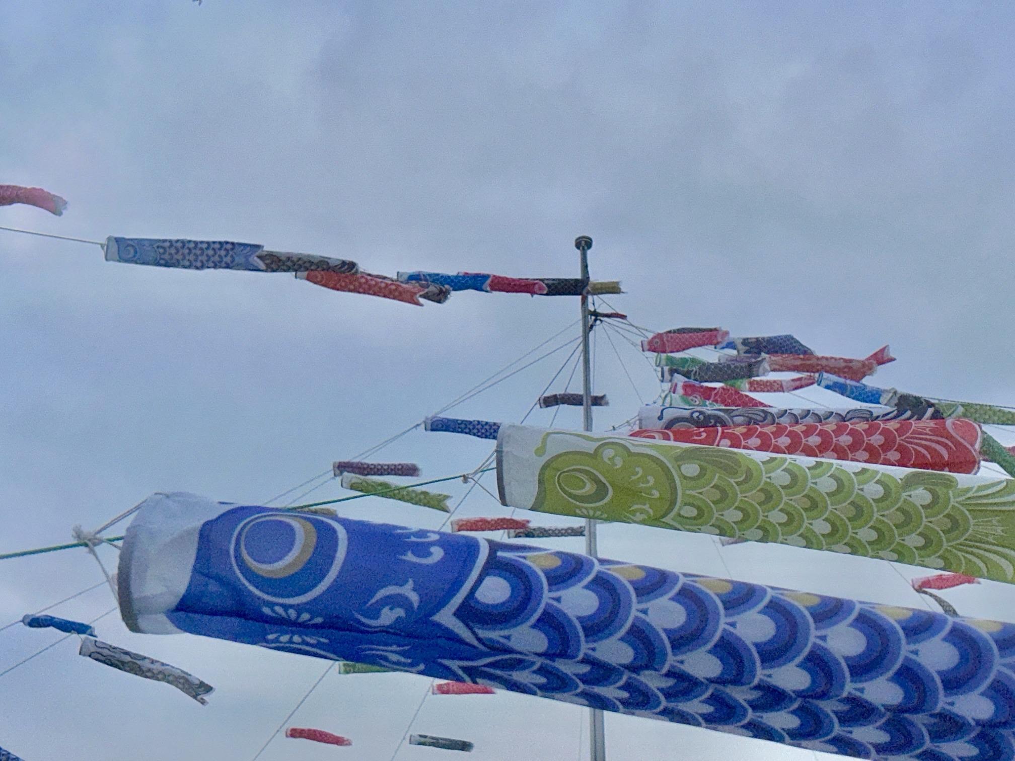 夕暮れの大平山トレーニングB面 / yes_csさんのランニングの活動データ | YAMAP / ヤマップ