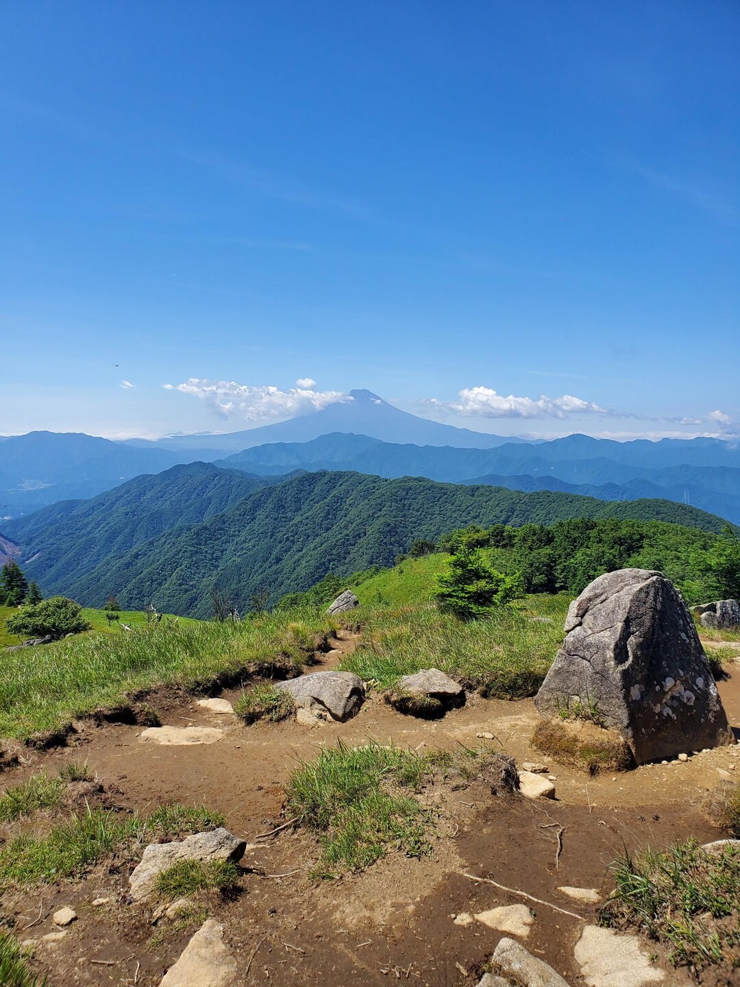 白谷小丸・白谷ノ丸・大蔵高丸 / nabe(^o^)vさんの雁ヶ腹摺山・岩殿山の活動データ | YAMAP / ヤマップ