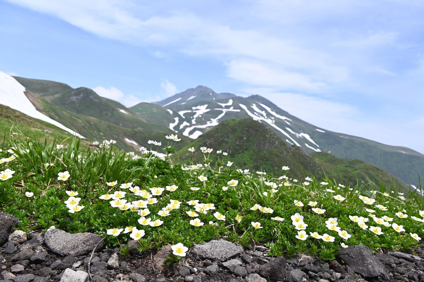 鳥海山の女神様と冒険の山歩き / hikaさんの鳥海山・七高山・笙ヶ岳の活動データ | YAMAP / ヤマップ