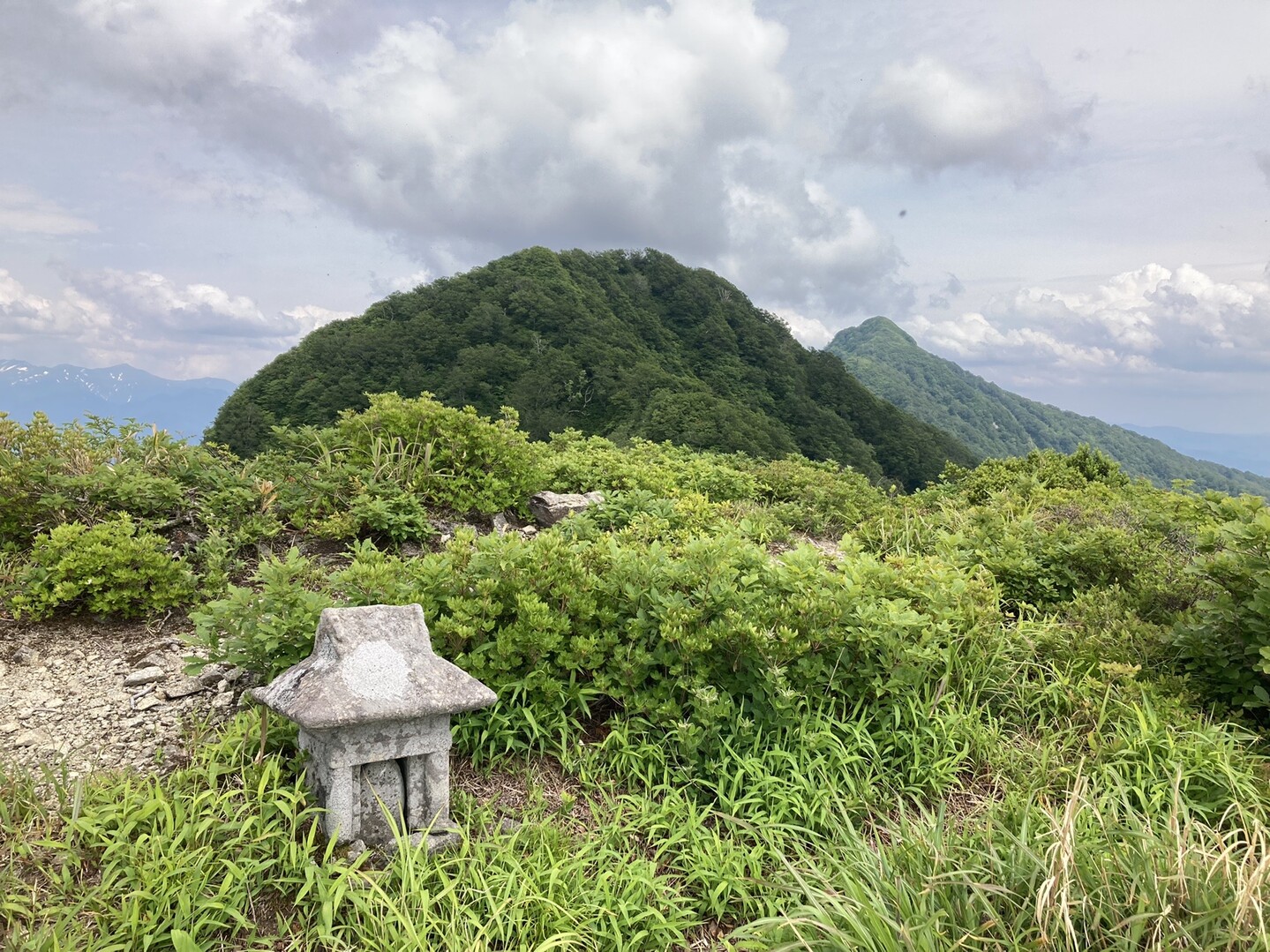 鷲ヶ巣山(中ノ岳まで)-R4-06-11 / モスっちさんの鷲ヶ巣山の活動データ | YAMAP / ヤマップ
