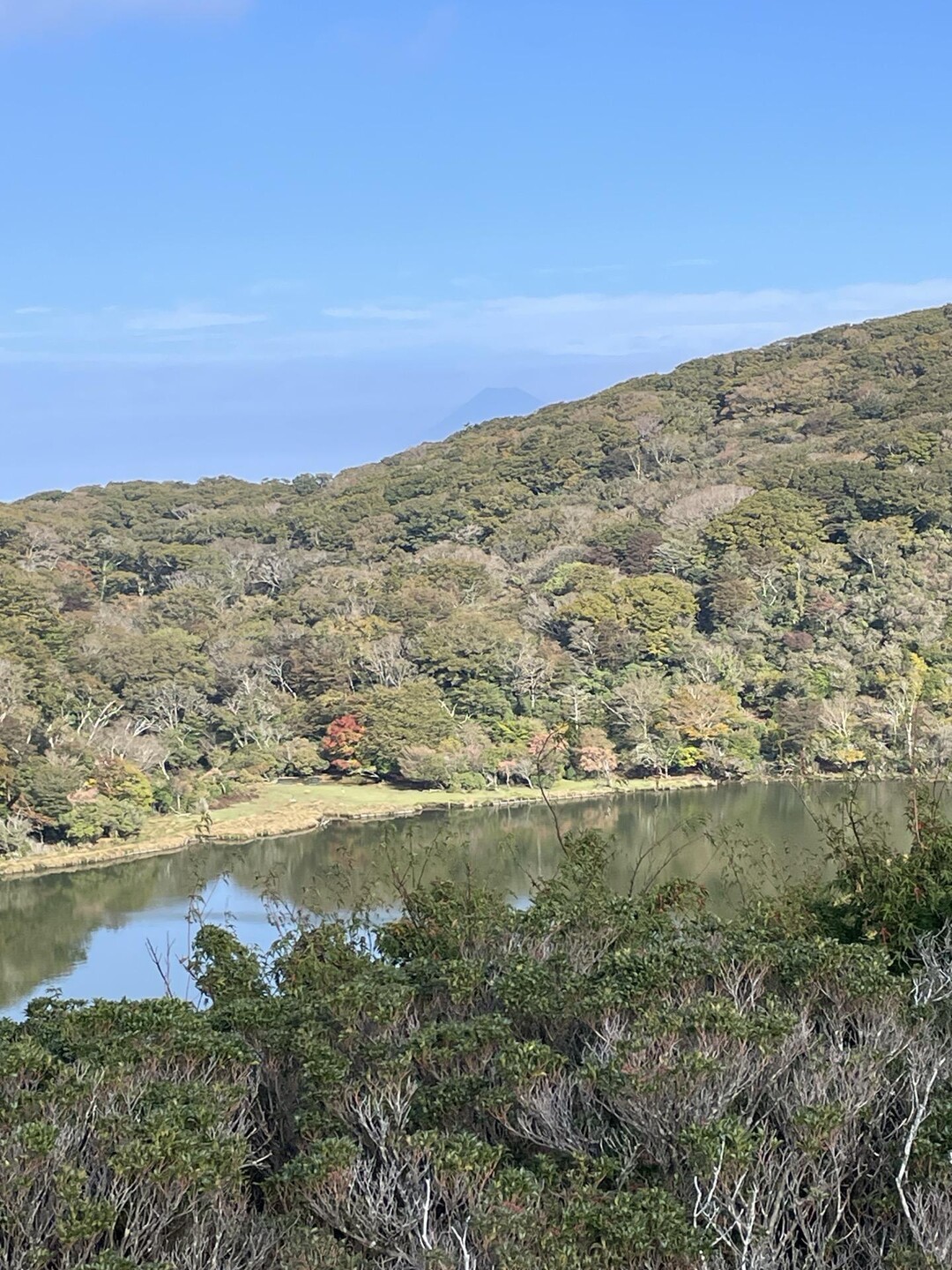10月24日 木曜日 ホームの天城山の八... / hiromiさんのモーメント | YAMAP / ヤマップ