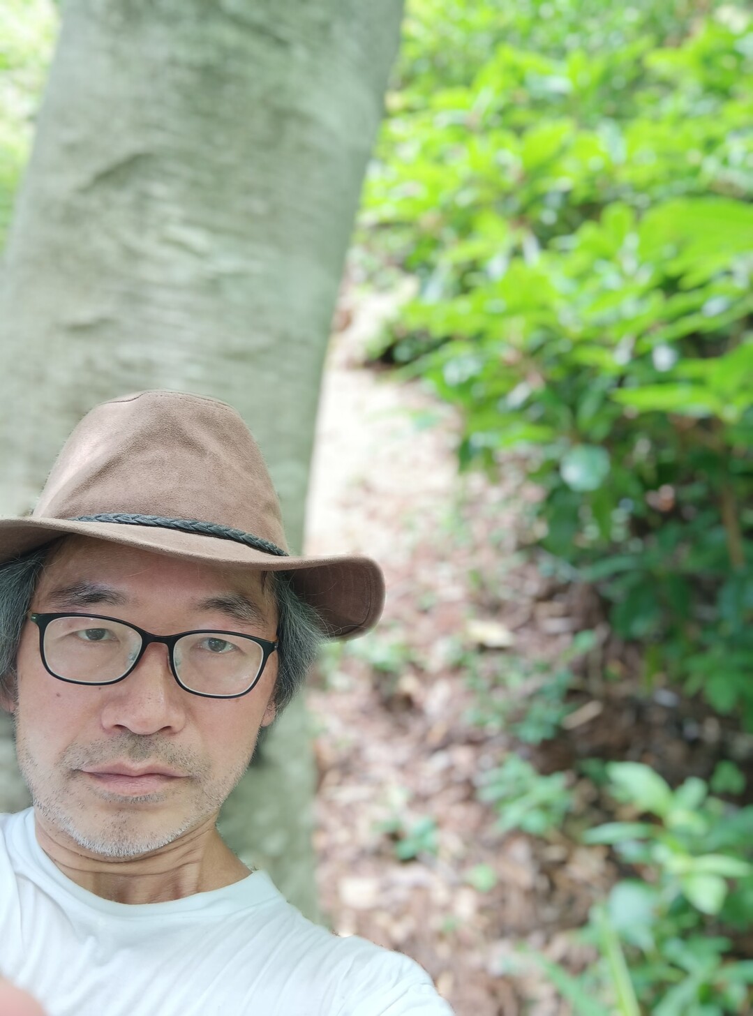 奥の山道のページ | YAMAP / ヤマップ