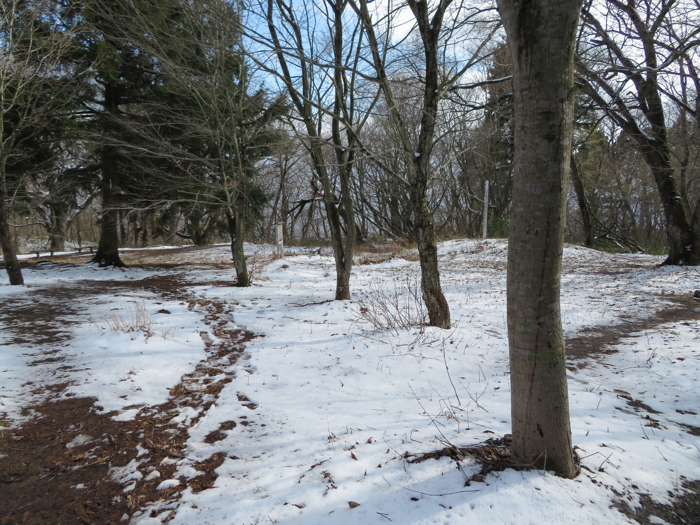 角田山 / Taroさんの角田山の活動データ | YAMAP / ヤマップ