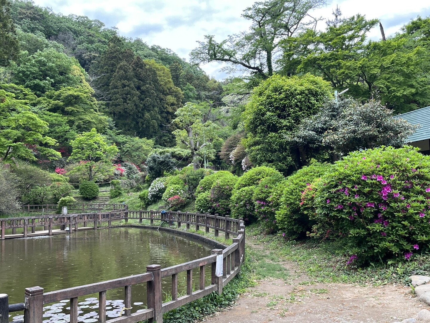 吾妻山（プチ断食3日PM）第一坂まで / Meg Takaoさんの鳴神山・吾妻山の活動データ | YAMAP / ヤマップ