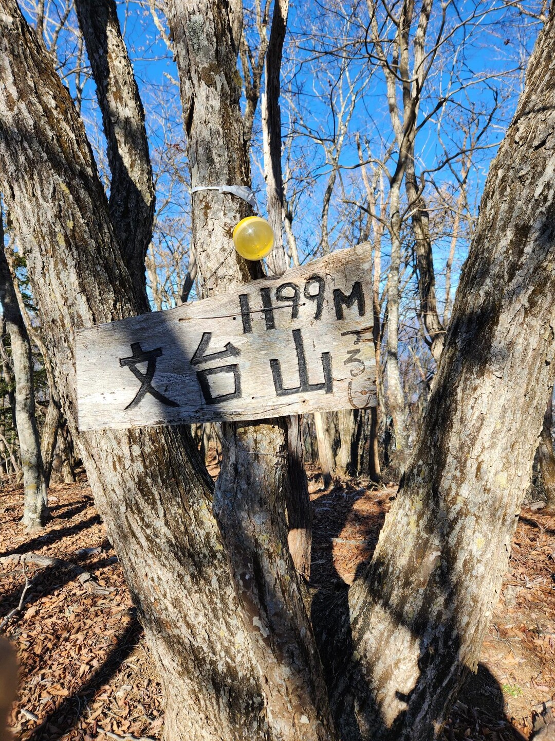 文台山（大野山）(都留市21秀峰) / jinba-shuさんの富士山の活動データ | YAMAP / ヤマップ