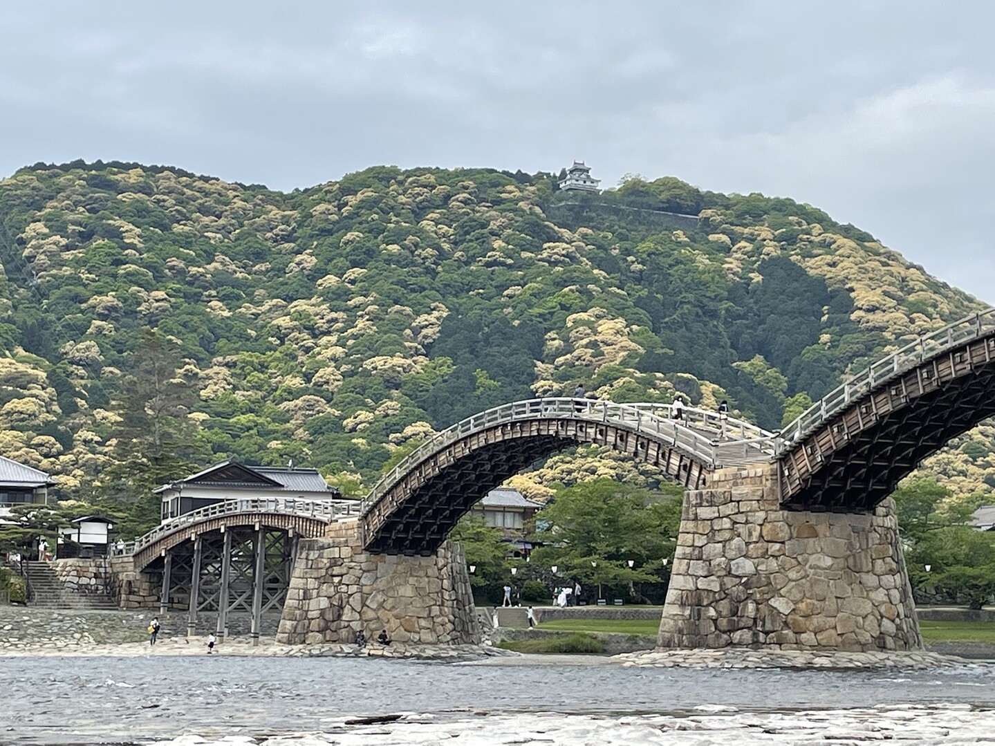 城山（横山） / sikaさんの岩国市 岩国エリアの活動データ | YAMAP / ヤマップ