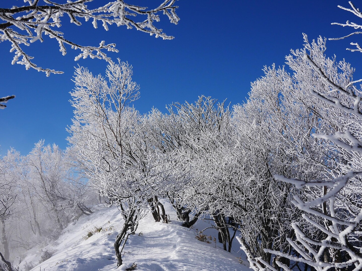 赤城／黒檜山 / Hikoさんの赤城山・黒檜山・荒山の活動データ | YAMAP / ヤマップ