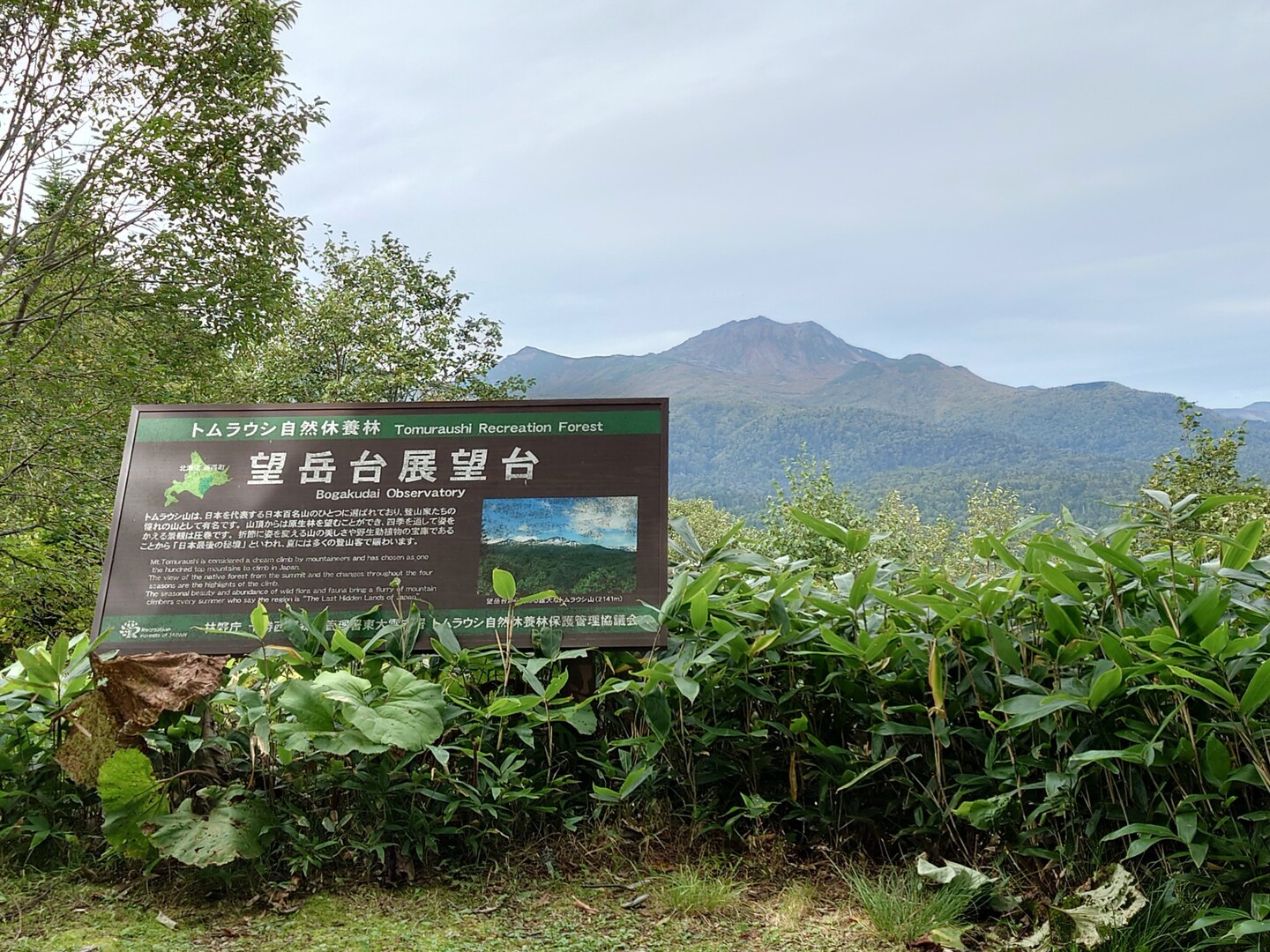 トムラウシ山 / はなさんのGT3 2の活動データ | YAMAP / ヤマップ