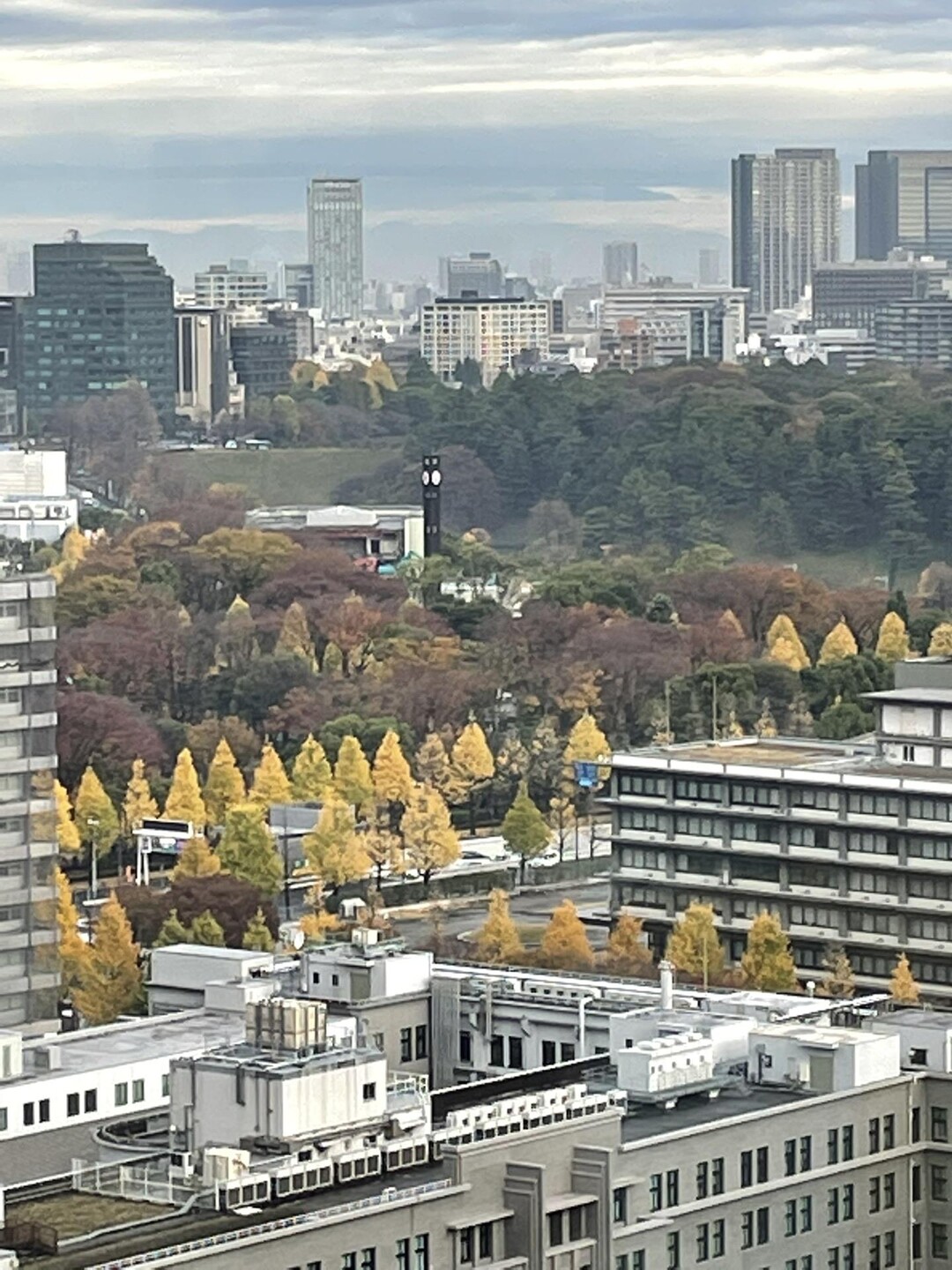 都内の景色もこんな感じになりました。 / houjinoさんのモーメント | YAMAP / ヤマップ