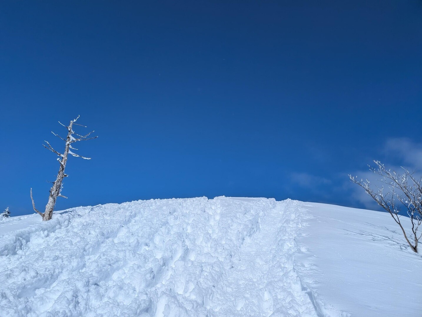 猪臥山 / tommyさんの猪臥山の活動データ | YAMAP / ヤマップ