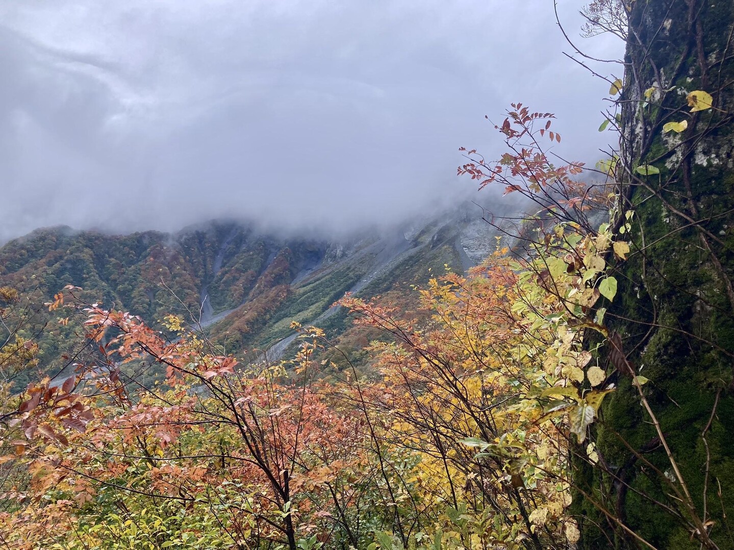 中国地方遠征③ 大山（弥山） / cyさんの大山・甲ヶ山・野田ヶ山の活動データ | YAMAP / ヤマップ