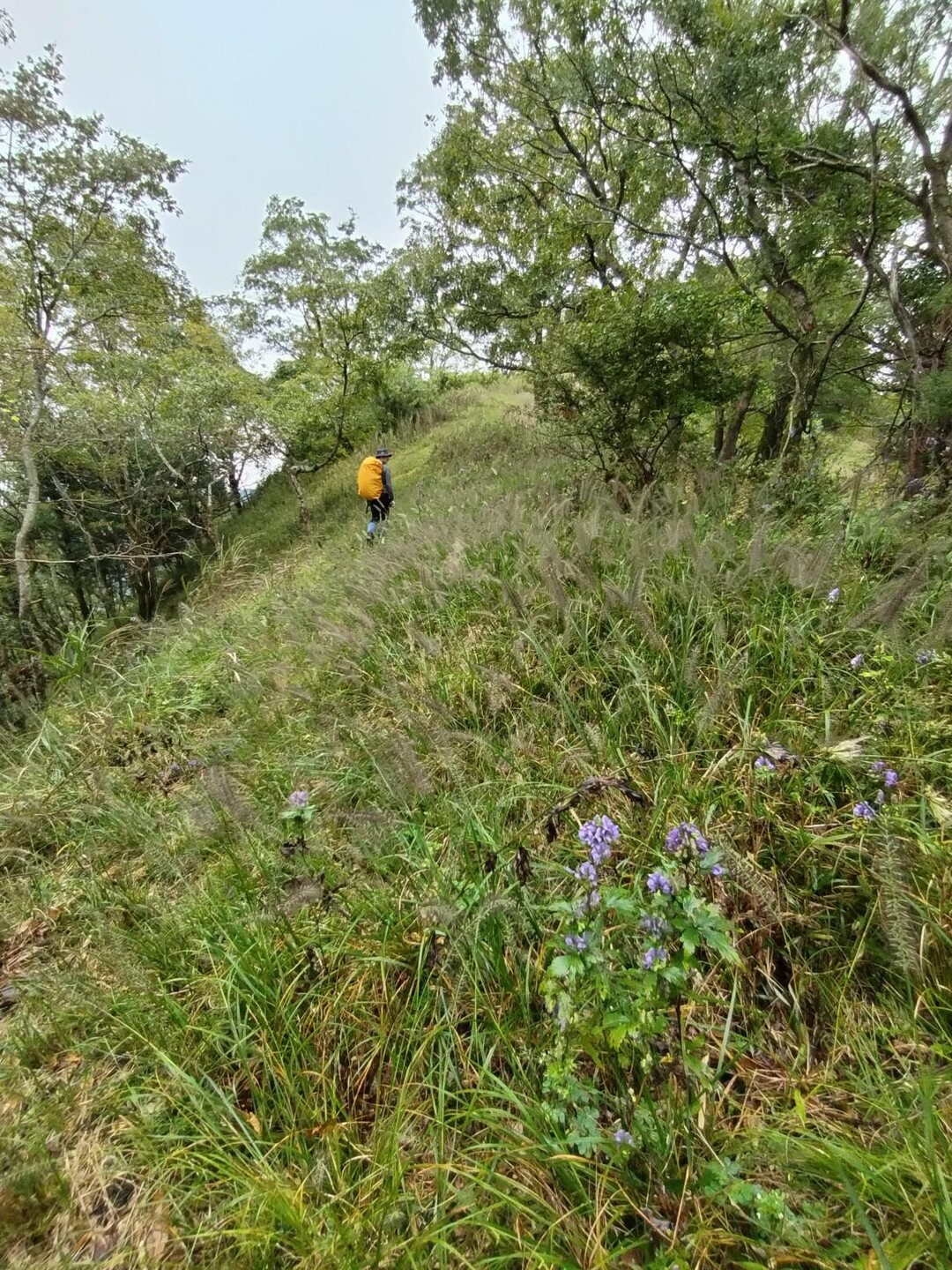 現山 / nanaoさんの佩楯山・現山の活動データ | YAMAP / ヤマップ