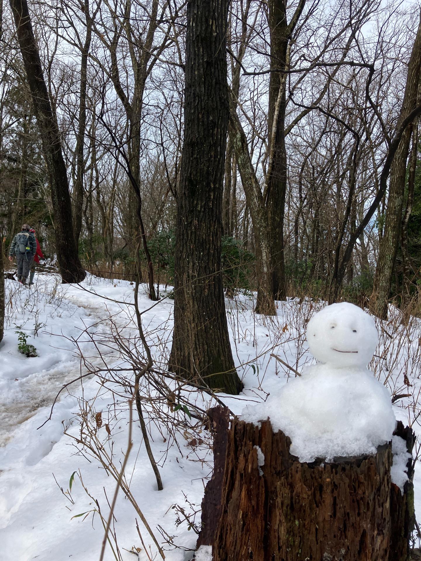 下市山 / pongoさんの下市山の活動データ | YAMAP / ヤマップ