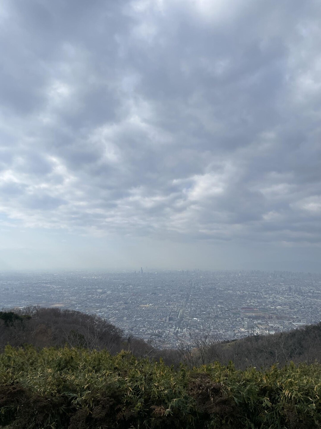 Bobさんの投稿したフィールドメモ | YAMAP / ヤマップ