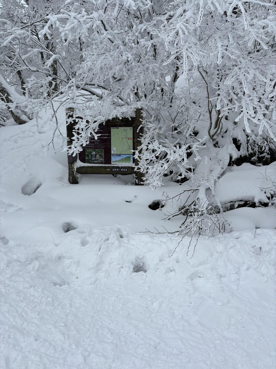 大山で滑ってきた⛷️ ️ / ちこちゃんさんの大山・甲ヶ山・野田ヶ山の活動データ | YAMAP / ヤマップ