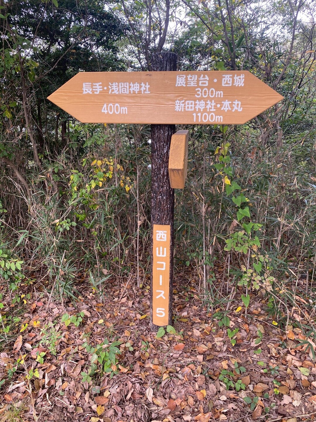 ひろっきー🔰さんの投稿したフィールドメモ | YAMAP / ヤマップ